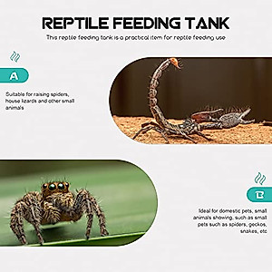 Balacoo Reptile Breeding Box Acrylic Reptile Terrarium Cage Tank Tarantula Scorpion Sling Isopods Lizards Roach Invertebrates Insect Mantis