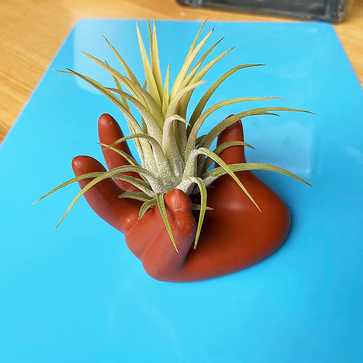 HHHH 3 pcs Air Plant Holder Mini Hand Shape Stand AirPlants Tillandsia Cute Container Pot Plant Display Home Office Decor Desk Table Shelf or Gifts Party Favors, Clay