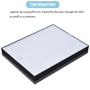 Replacement Compatible with Philips FY2422 FY2420 2000 2000i Series AC2887 and AC2882 Nano Protect True HEPA Replacement Filter (2 Sets)