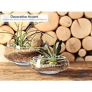 Royal Imports Flower Glass Vase, Bowl Terrarium Succulent Planter, Air Plant Hydroponic Display, Floating Candles Decorative Centerpiece Floral Container for Home or Wedding Set of 2, Clear