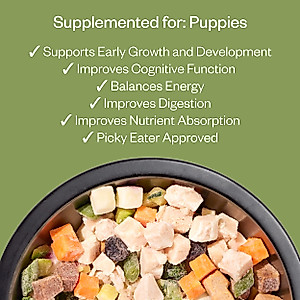 Maev Raw Dog Food for Puppies, Better Than Freeze Dried Dog Food, Flash Frozen Human-Grade Dog Food with USDA Chicken, Vitamin-Rich Organ Meat and Fresh Produce in Every Serving, 10 Pounds