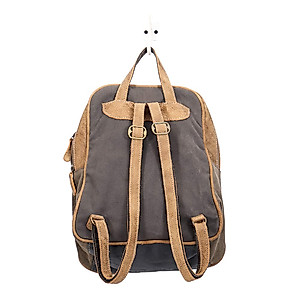 Myra Bag Clique Upcycled Canvas & Cowhide Backpack S-1446