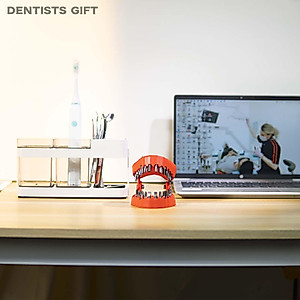 Magoog Denture Drill Bit Holder,Gag Gift for Dentist,3D Sculpture Desk Decor,1/4” Hex Bit Screwdriver,2-in-1 Screwdriver& Desk Gadget,Magnetic Gums with 28PCS Bits,Red