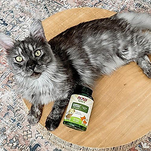 NOW Foods Pet Health, Omega 3 Supplement, Formulated for Cats & Dogs, NASC Certified, 180 Softgels