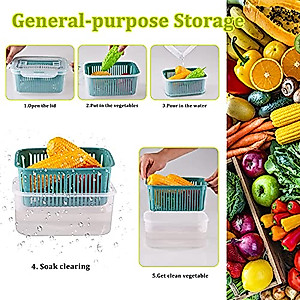 U/C Plastic Food Storage Containers, Fresh Vegetable Fruit Storage Containers for Refrigerator, Kitchen Produce Saver Container with a Draining Basket, BPA Free (5 Pack)