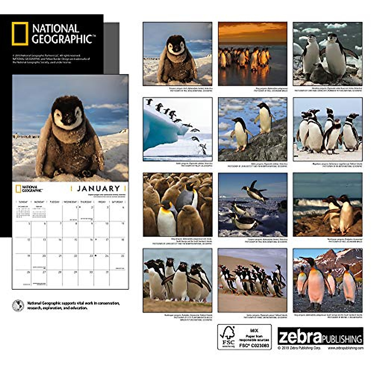National Geographic Penguins 2020 Wall Calendar