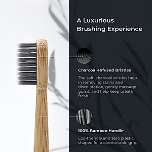 PerioSciences Biodegradable Bamboo Toothbrush, Soft Charcoal Bristles
