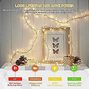 Letaclanic G4 SMD LED Light Bulbs, 3000K Warm White Lighting Dimmable, 3W Equivalent to 30W AC DC 12V-24V, Bi-pin LED Bulb Silicone G4 LED Bulbs (10 Pack)