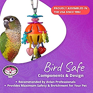 Super Bird Creations SB1086 Having a Ball Bird Toy, Small/Medium Bird Size, 6" x 2" x 2"