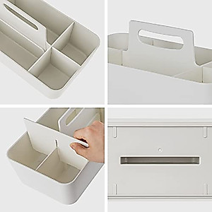 Carrotez Craft Storage Organizer, Craft Storage Containers, Caddy Tote Bin, Divided Plastic Organizer with Handle for Craft, Sewing, Art, Office Supplies, Multi Use, Stackable, Portable, White