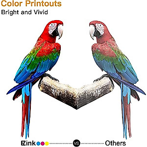 E-Z Ink (TM) Compatible Toner Cartridge Replacement for Brother TN336 TN-336 TN331 Compatible with HL-L8350CDW MFC-L8850CDW MFC-L8600CDW HL-L8350CDWT HL-L8250CDN (Black Cyan Magenta Yellow, 5 Pack)