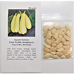 David's Garden Seeds Squash Summer Early Prolific Straightneck FBA-00021 (Yellow) 50 Non-GMO, Heirloom Seeds