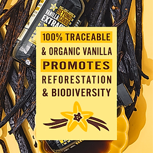 Beyond Good Pure Vanilla Extract | Madagascar Vanilla Extract | Made from All Natural Bourbon Vanilla Beans | For Baking, Desserts, Home Cooking and Chefs (2 fl oz)