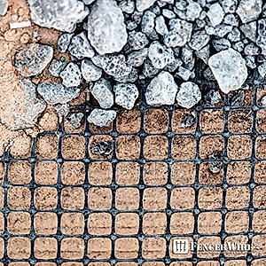 Fencer Wire Black Plastic Poultry Netting Animal & Garden Fence Recyclable Plastic Barrier Environmental Protection Mesh 0.5" x 0.5" (3 ft. x 15 ft.)