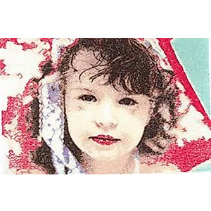 Brother PE-Design Next