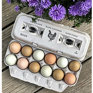 25 Egg Cartons- Adorable Printed Vintage Design for Farm Fresh Eggs, Recycled Paper Cardboard, Sturdy & Reusable, Carton Holds up to XL Chicken Eggs (25, Locally Laid Hen)