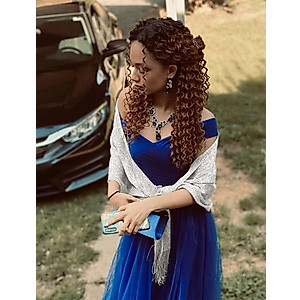 Rheane Shawl Shawls and Wraps for Evening Dresses Shawl Wraps for Women Sliver Dress Evening Gowns for Women Formal Women's Scarves & Wraps Silver Shawl for Formal Dress (Silver with Silver Glitter)