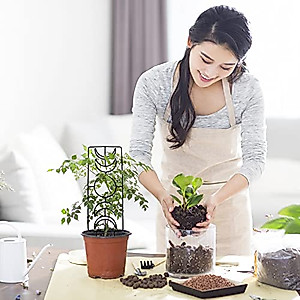 Tuitessine Moon Phase Trellis Indoor Plant Trellis Climbing Plant Small Garden Trellis for Potted Plant Houseplant Metal Wire Trellis Pot Trellis 2 Packs 14.1’’