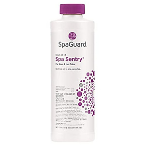 SpaGuard Spa Sentry (1 qt) (2 Pack)