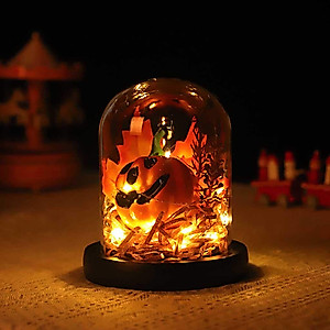 CCOOfhhc Halloween Pumpkin Lights,Glass Pumpkin Roses Halloween Smiley Pumpkin Shade Halloween Decoration