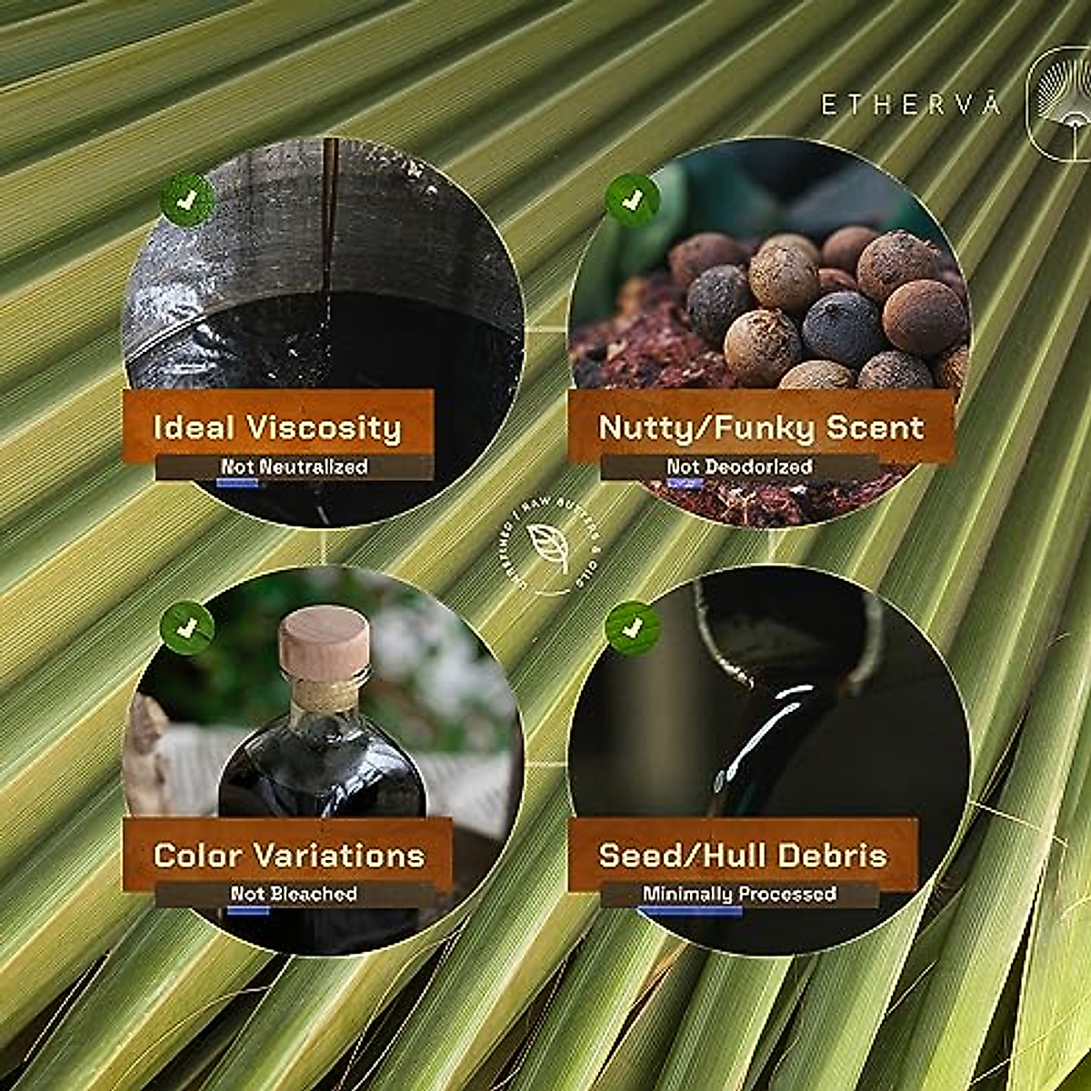 ETHERVA Cold Pressed Tamanu Oil | From Unrefined, Raw, Wild Grown Organic Tamanu Seeds | Vegan Indian Tamanu Oil For Skin, Body, Hair | Rich in Fatty Acids, Antioxidants | 1,240 ml (41.92 fl. oz.)