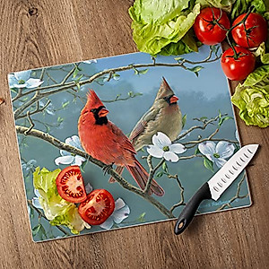 CounterArt Beautiful Songbirds Cardinal 3mm Heat Tolerant Tempered Glass Cutting Board 15” x 12” Manufactured in the USA Dishwasher Safe