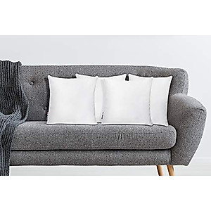 Pack of 4 20x20 Pal Fabric Soft Cotton Feel Microfiber Square Pillow Insert for Sham or Decorative Pillow Made in USA (20x20)