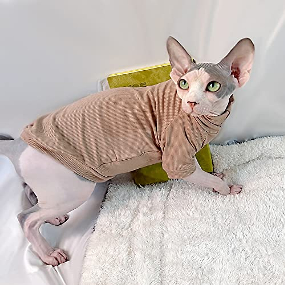 Toysructin Hairless Cat Pullover T-Shirt with Sleeves, Warm Cozy Pet Cat Clothes Stripe Turtleneck Shirt, Soft Breathable Kitten Wear Jumpsuit Costume for Sphynx Cornish Rex Devon Rex Peterbald Cats