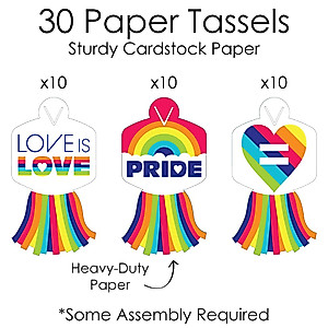 Big Dot of Happiness Love is Love - Gay Pride - 90 Chain Links and 30 Paper Tassels Decoration Kit - LGBTQ Rainbow Party Paper Chains Garland - 21 feet
