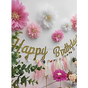 iwlorys 12Pcs Pink White Tissue Paper Pom Poms Flowers 12" 8" for Wall Pink Party Decorations Kit Girls Birthday Baby Bridal Shower Wedding Nursery Mexican Floral Garden Tea Party Centerpieces