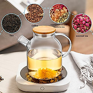 Popward 1800ml /60.9oz Glass Teapot with Infuser, Glass Pitcher with Bamboo Lid, Tea Pot for Loose Tea, Teapot for Stovetop Safe, Clear Teapot, Glass Tea Pot, Glass Tea Kettle, Glass Pot