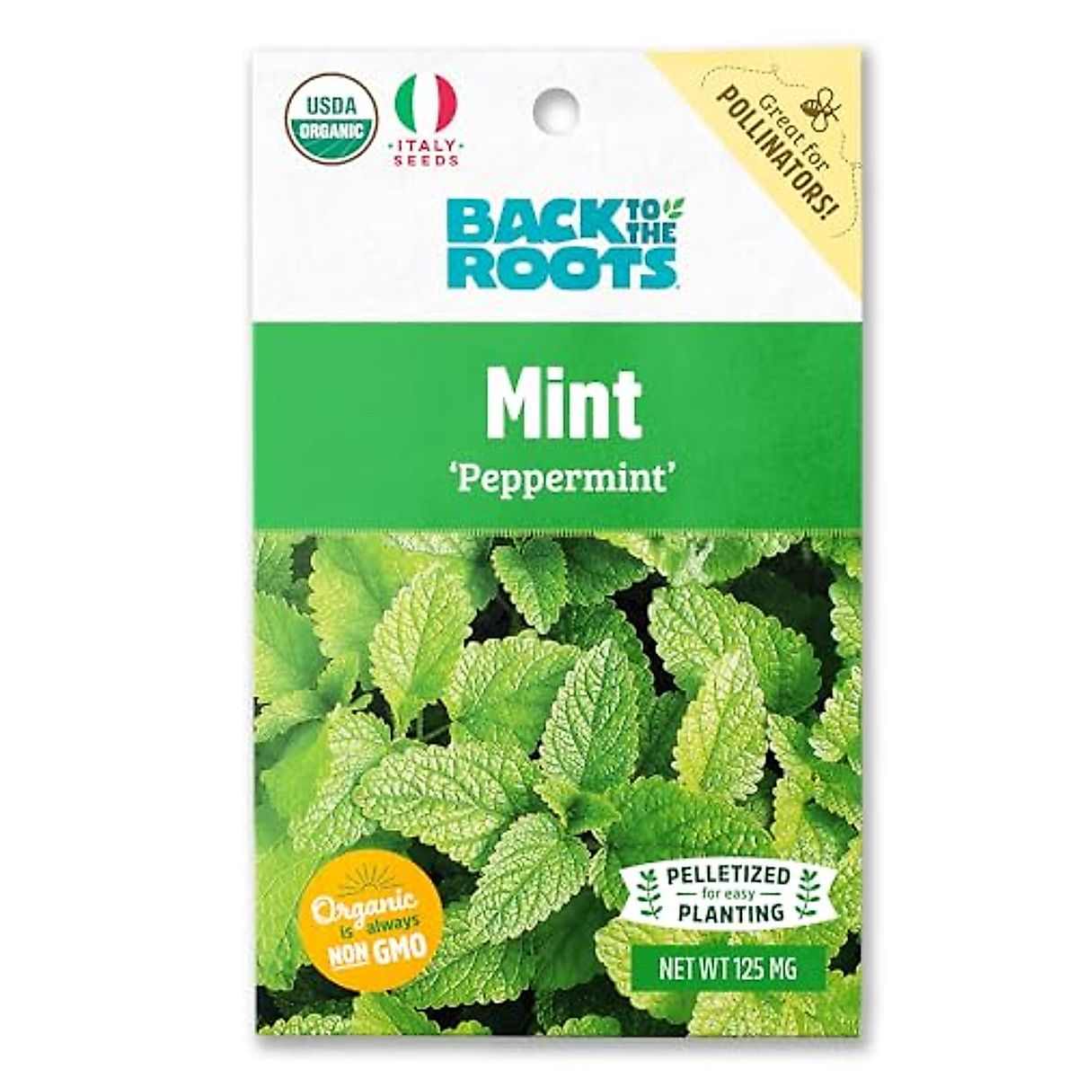 Back to the Roots Mint 'Peppermint' Seed Packet, 140mg, Green