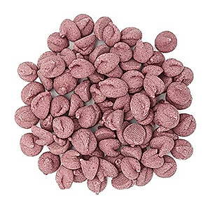 Vitakraft Drops Rabbit Treat - Wild Berry - Yogurt Treats for Rabbits Purple 5.3 Ounce (Pack of 1)