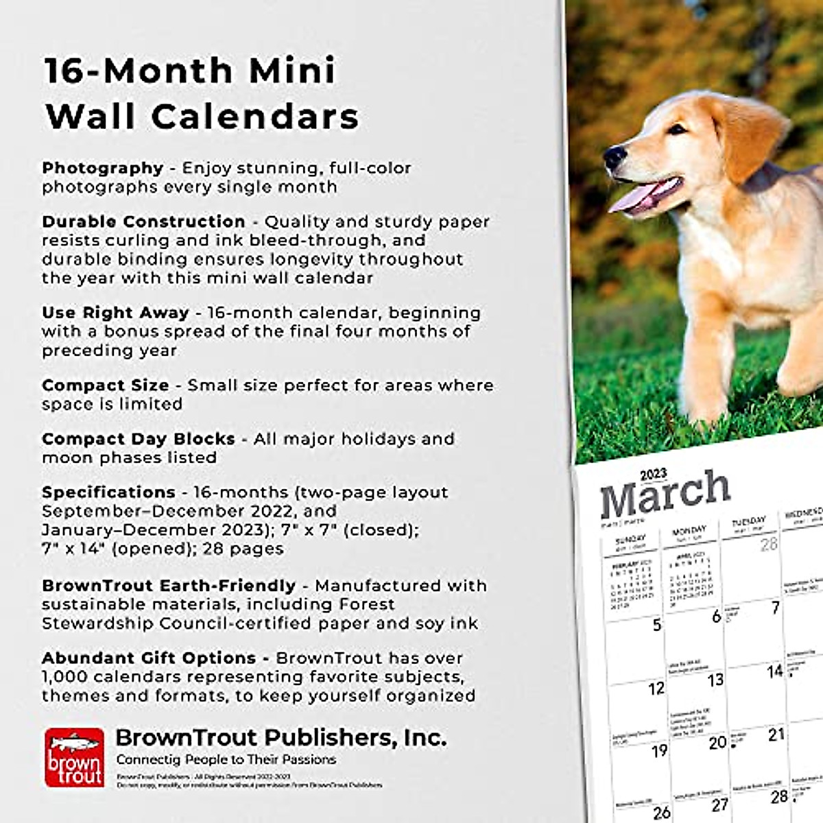 Golden Retriever Puppies | 2023 7 x 14 Inch Monthly Mini Wall Calendar | BrownTrout | Animals Dog Breeds Puppy DogDays