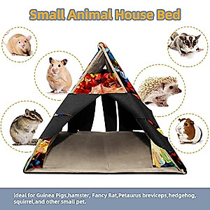 enheng Small Pet Hideout Ballet Dancer Colorful Art Hamster House Guinea Pig Playhouse for Dwarf Rabbits Hedgehogs Chinchillas