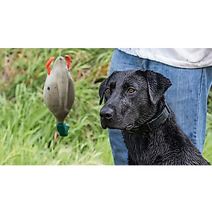 HUNTARMOR Duck Dummy Bumper Toy: Bird Training Dummy for Training Hunting Dogs, Mimics Dead Duck Bumper Toy for Waterfowl Hunting Retriever Dog Training, Dog Bumper Hunting Dog Accessories