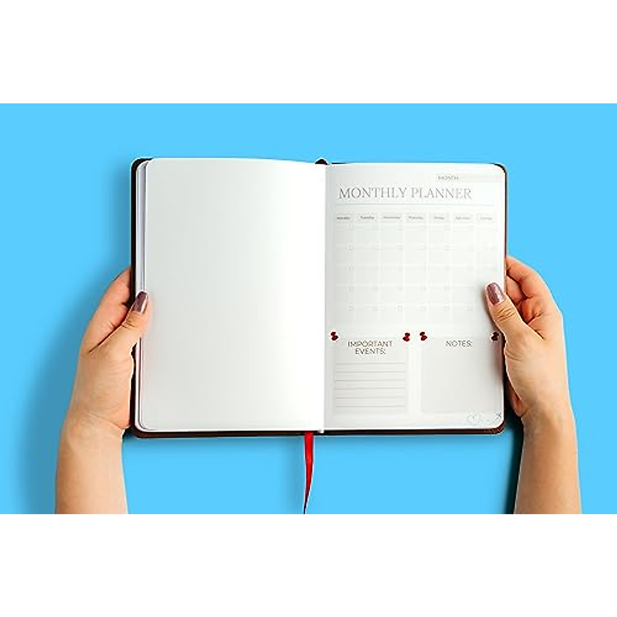 EcuaTerra Undated Daily Planner 2023-2024 - Productivity Agenda 2023-2024, Habit Tracker, Work Planner Organizer Notebook, to Do List Notebook, Gratitude & Goals Journal, Inspiring Quotes