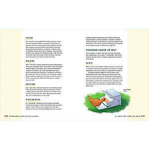 The Beginner's Guide to Raising Chickens: How to Raise a Happy Backyard Flock (Raising Chickens Guide)