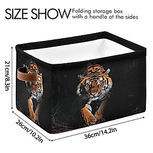 YETTASBIN Tiger Storage Basket 1pc, Large Collapsible Toys Clothes Organizer, Durable Canvas Storage Bin with Handle for Shelves Closet Laundry Home Office Decor