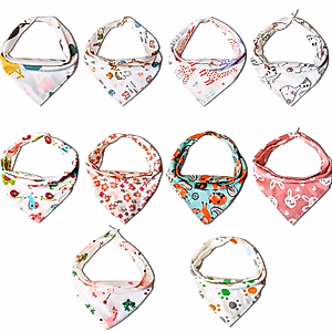 Setaria Viridis Baby Drool Bibs- 10 Pack Baby Bandana Bibs for Drooling and Teething 100% Cotton Bibs Soft and Absorbent for Newborn Baby (Girl)