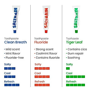 SALTRAIN Toothpaste_Total (Fluoride, Pack of 1)