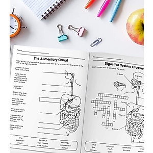 Carson Dellosa The 100+ Series: Human Body Workbook―Grades 5-8 Science Book, Human Anatomy, Bones, Muscles, Organs, the Nervous System, Health and Nutrition (128 pgs) (Volume 13)