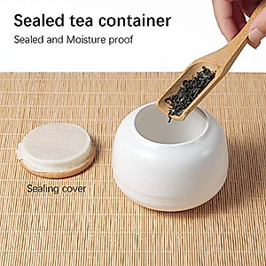 Lyty Chinese Tea Pot Cup Set with Tray Infuser - Travel Ceramic Tea set Porcelain Teapot, Portable All in One Gift Bag for Outdoor Picnic Business Hotel (White)