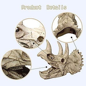 Tfwadmx Bearded Dragon Tank Accessories Resin Dinosaur Triceratops Skull Lizard Hammock Reptiles Habitat Hideout Cave for Lizard Chameleon Snake Spider Frog Gecko