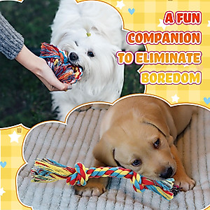 RoundFunny 100 Pieces Knot Rope Dog Toys Multi Color Puppy Knot Chew Toy Cotton Puppy Toys Dental Dog Teething Toys 2 Knot Dog Tug for Small and Medium Dogs Aggressive Chewers Supplies