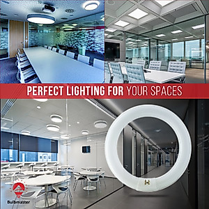 BULBMASTER FC8T9/CW 22 Watt 8 Inch Round T9 Fluorescent Circular Light Bulb, Cool White 4100K, 1120 Lumens G10Q 4-Pin Base 22W Circline Ceiling Lights