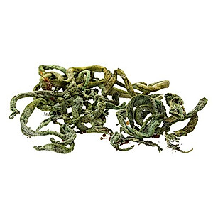 Biostretch Extra Wide Tree Ties and Large Plant String | Environmentally Smart Soft Green Plant Support and Garden Twine (Bio Extra Wide 26 ft / 8M)