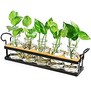 THYGIFTREE Plant Propagation Stations with Metal Stand, Tabletop Plant Terrarium for Propagating Hydroponic, Retro Glass Planter Flower Vase Home Kitchen Office Decor, Plant Lover Gifts, 5 Jars