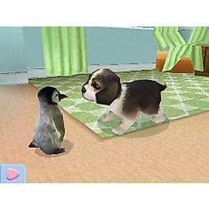 Petz Nursery 2 - Nintendo DS (Renewed)