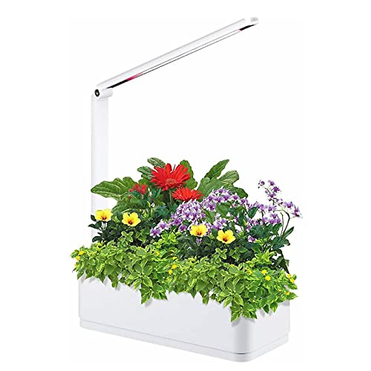 CheerGrow Hydroponics Growing System Smart Indoor Mini Garden Herb Kitchen Garden Kit with Built in LED Grow Light for Herbs/Vegetables/Flowers